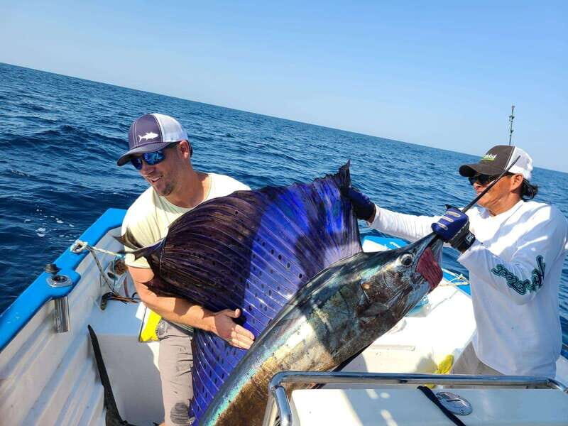 Sport fishing in mazatlan - The Detailed Experience