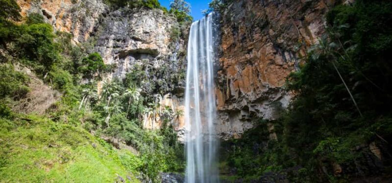 Spring Brook National Park Driving Tour with an APP - Discovering Springbrook National Park: What to Expect