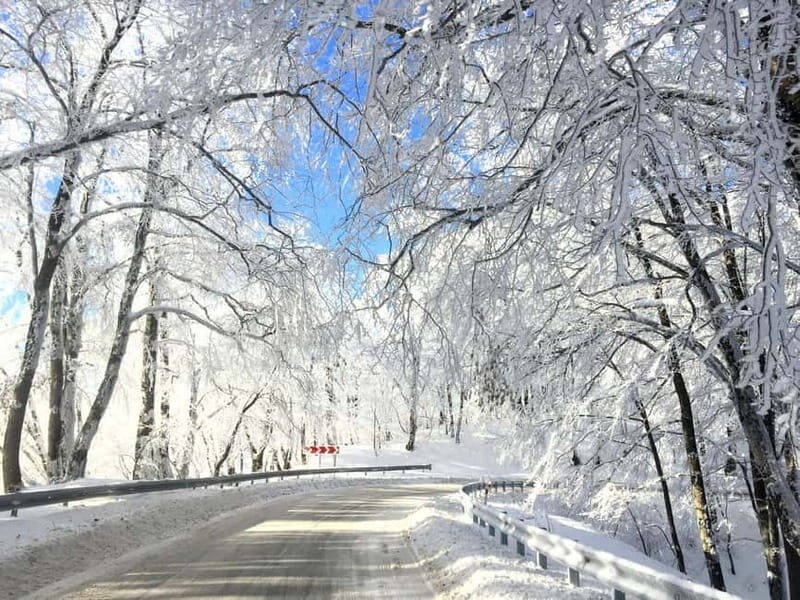 Spring in Tbilisi: Sabaduri, Jvari, Bears & Chronicle - Final Thoughts  