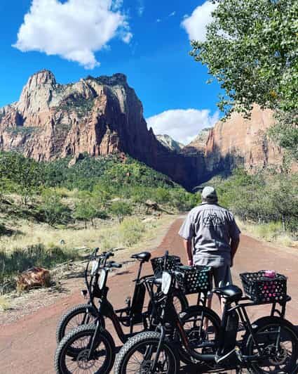 Springdale: Guided eBike Tour in Zion National Park - Springdale: Guided eBike Tour in Zion National Park