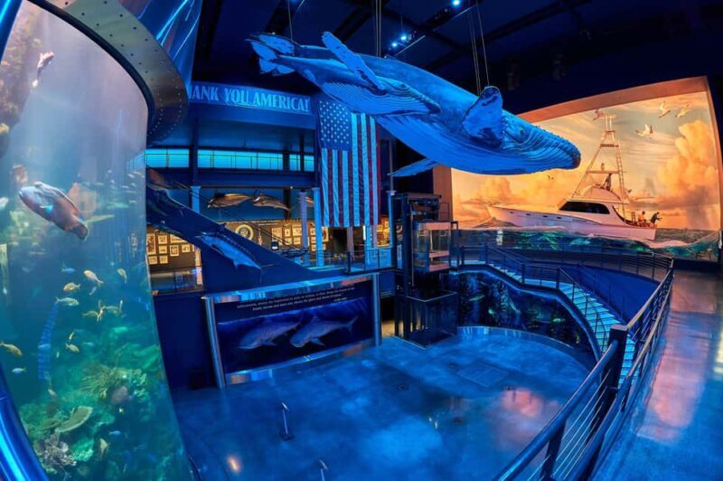 Springfield: Wonders of Wildlife National Museum & Aquarium - What is the Wonders of Wildlife Museum & Aquarium?
