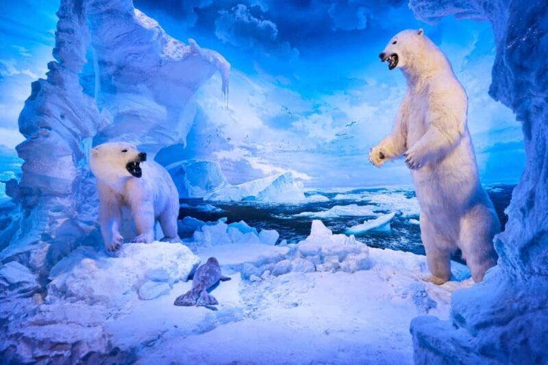 Springfield: Wonders of Wildlife National Museum & Aquarium - Frequently Asked Questions