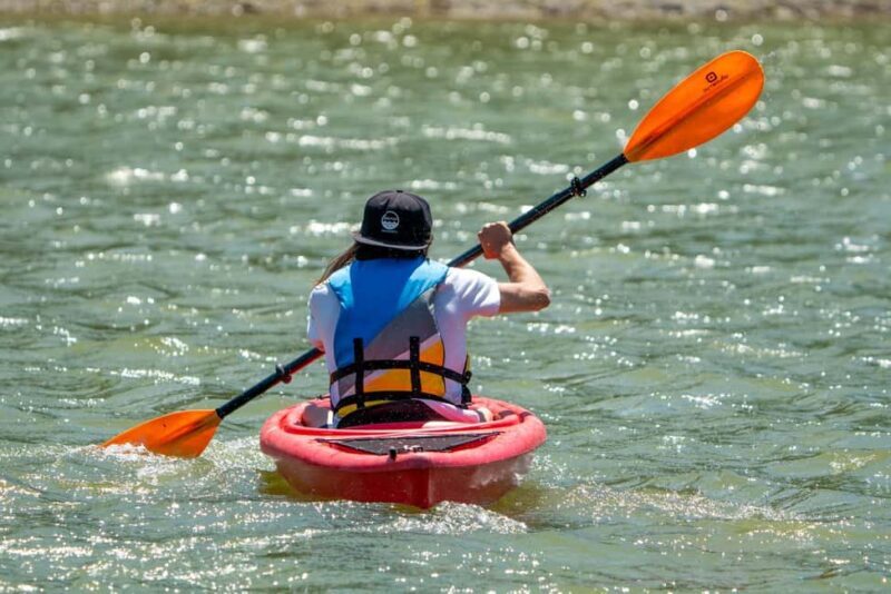 Squamish: 4 Hour Single Sit In Kayak Rental - An In-Depth Look at the Squamish Kayak Experience