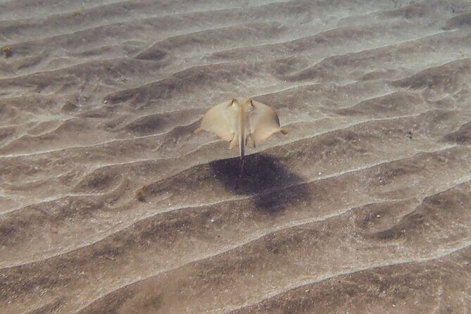 SSI Open Water, South Tenerife - Key Points