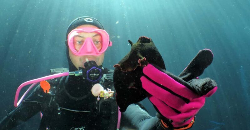 SSI Try Scuba Diving in the sea - Engaging Intro