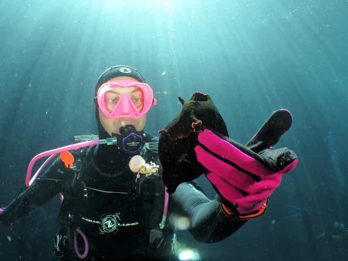 SSI Try Scuba Diving in the sea - Key Points
