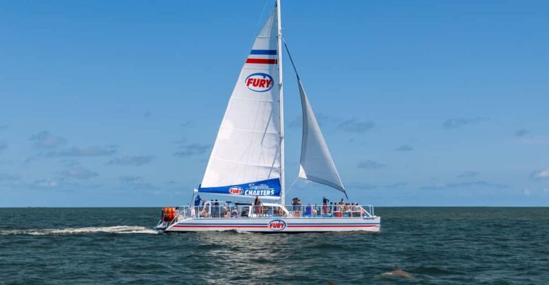 St. Augustine: Dolphin Watching Harbor Tour with Drinks - An Introduction to the Experience