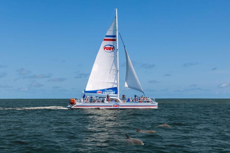 St. Augustine: Dolphin Watching Harbor Tour with Drinks - Who Will Love This Tour?