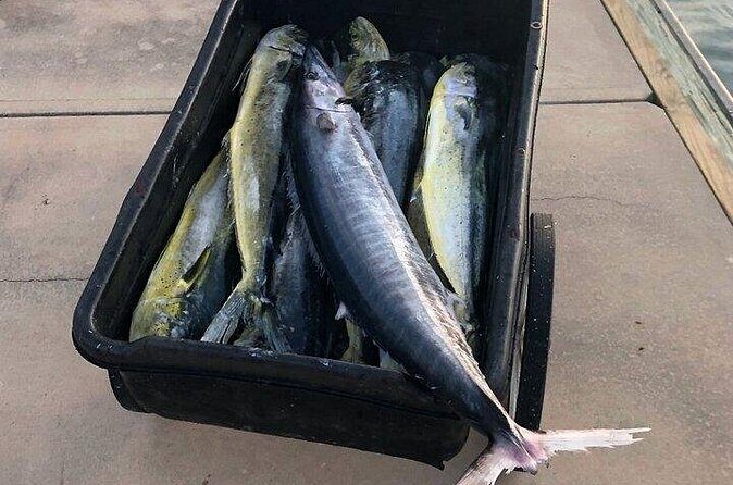 St. Augustine Fishing Charter Experience - Final Verdict