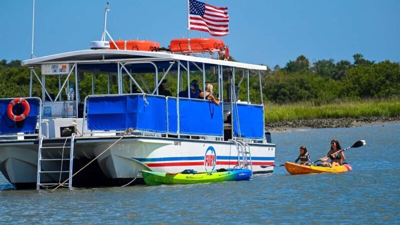 St. Augustine Wildlife Adventure: Boat Cruise & Kayak Tour - An In-Depth Look at the St. Augustine Wildlife Adventure