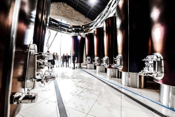 St-Emilion & Médoc Wine Day Tour: Chateaus, Tastings and Lunch - Final Thoughts