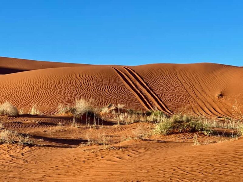 St. George: Sand Mountain Sunset Jeep Tour (Private) - Final Thoughts: A Scenic Adventure with a Personal Touch