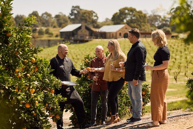 St Hugo Garden to Table Experience & Lunch - The Experience in Detail