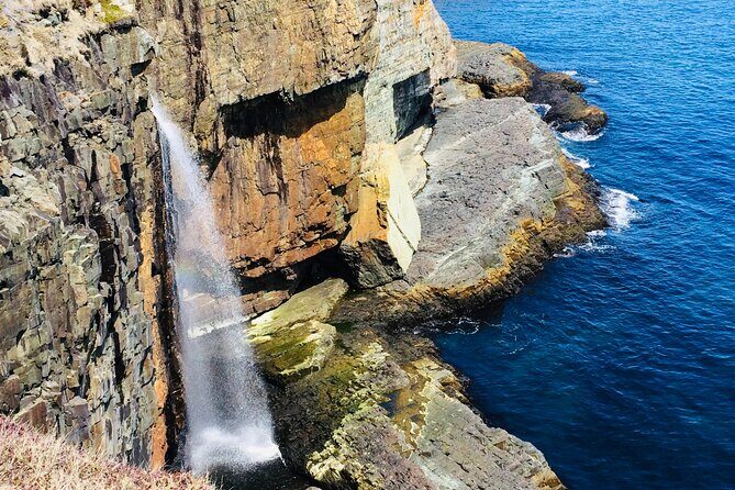 St. John's Coastal Hike with Top Local Guide Deneen - Key Points