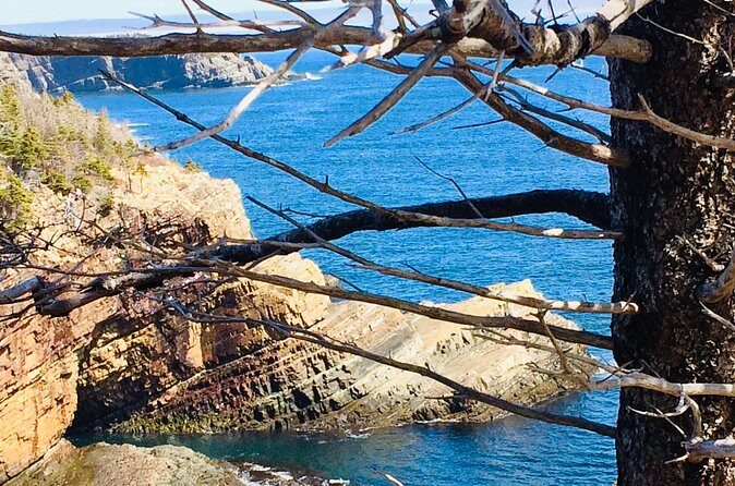 St. John's Coastal Hike with Top Local Guide Deneen - The Sum Up