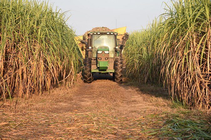 St. Joseph and Felicity Plantation Combo Tour - Final Thoughts