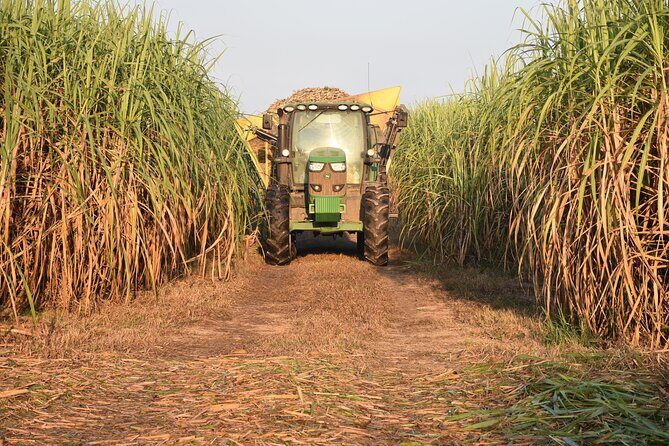 St. Joseph and Felicity Plantation Combo Tour - FAQ