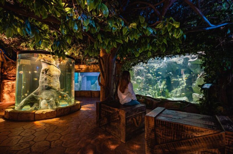 St Paul's Bay: Malta National Aquarium Entry Ticket - Discovering Malta’s Marine Life at the National Aquarium