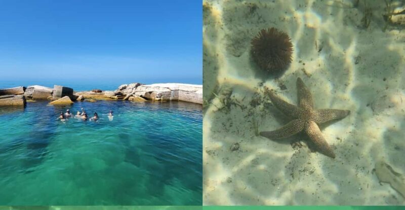 St Pete Beach: Private Boat tour for watersports snorkeling - Final Thoughts