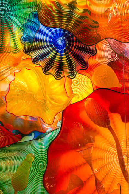 St. Petersburg: Chihuly Collection Admission Ticket - Key Points