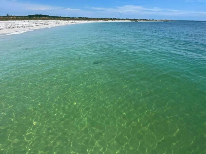 St. Petersburg, FL: 4-Hour Private Beach Tour - FAQs