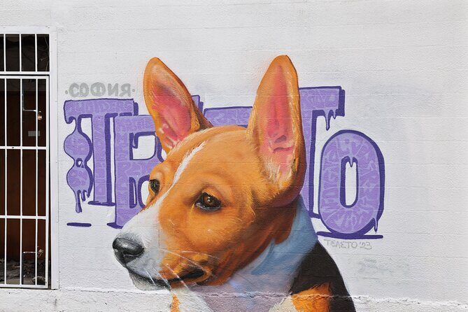 St. Petes Must-Do Murals Tour The Premier Street Art Trolley - The Sum Up: Why This Tour Is a Smart Choice