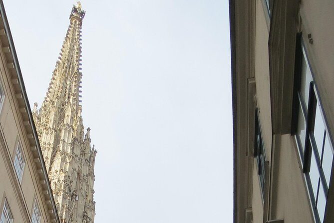 St. Stephen's cathedral - old symbol newly discovered - St. Stephens Cathedral - Old Symbol Newly Discovered