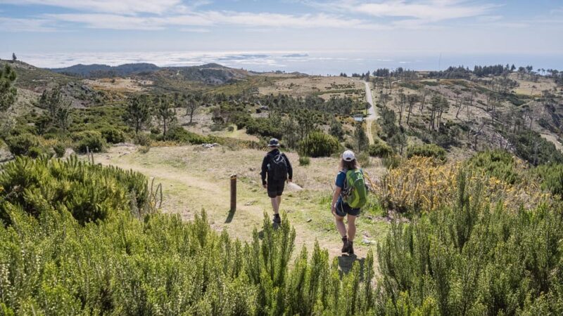 Stairway to Heaven: Pico do Areeiro in Madeira Island - Final Thoughts