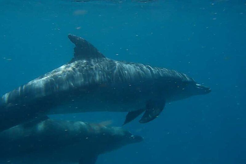 Stand Up Paddle at Double Island Point + 4x4 Beach Drive - Who Should Consider This Tour?