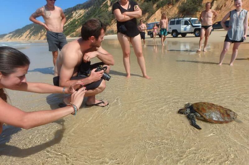 Stand Up Paddle at Double Island Point + 4x4 Beach Drive - Final Thoughts