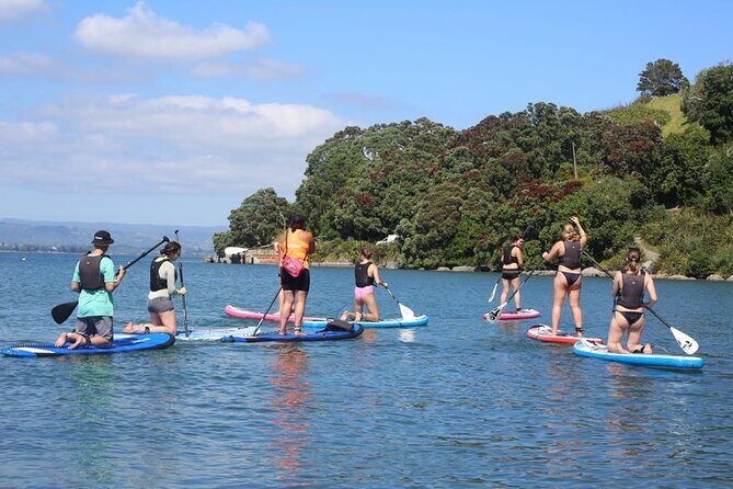 Stand Up Paddle Board Adventure in Mount Maunganui - A Detailed Look at the SUP Adventure in Mount Maunganui