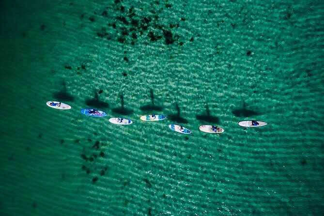 Stand Up Paddle Board Experience on Pristine Gnarabup Bay - Frequently Asked Questions