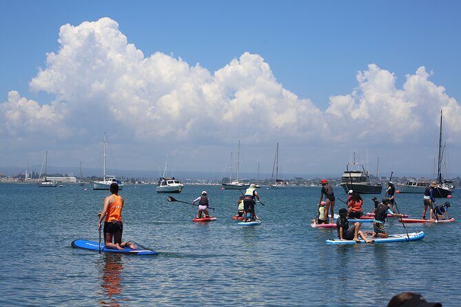 Stand Up Paddle Board Lesson in Mount Maunganui - What Makes This SUP Experience Stand Out?