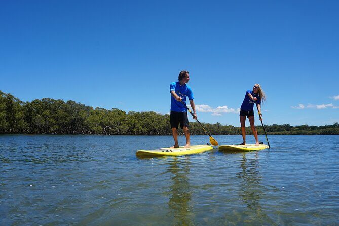 Stand-Up Paddle Board Tour in Byron Bay - Key Points