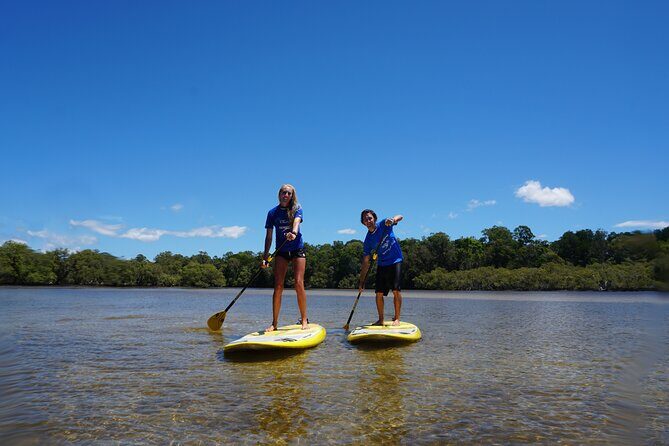 Stand-Up Paddle Board Tour in Byron Bay - Why This SUP Tour is Worth Considering