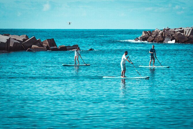 Stand Up Paddle Private Lesson in Calheta Beach - Who Will Love This Tour?