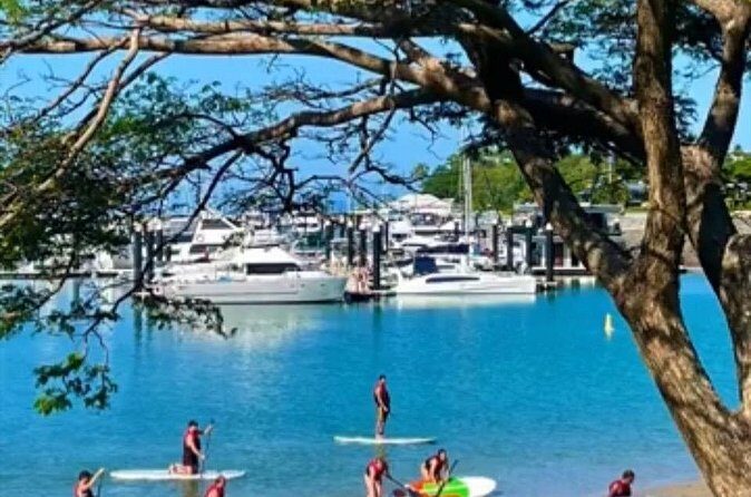 Stand Up Paddle Rental 1hr - How This Experience Fits Into Your Airlie Beach Trip