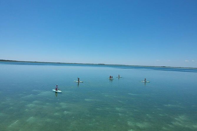 Stand Up Paddle Yoga Class at Private Lagoon - What to Expect from the Tour