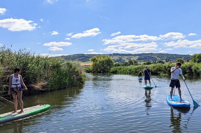Stand-up Paddleboard SUP Safari on The River Avon For Beginners - An Authentic Look at the SUP Safari Experience