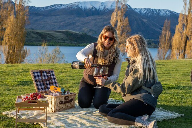 Standard Mystery Picnic Adventure in Queenstown - The Sum Up: Who Is This Tour Best For?