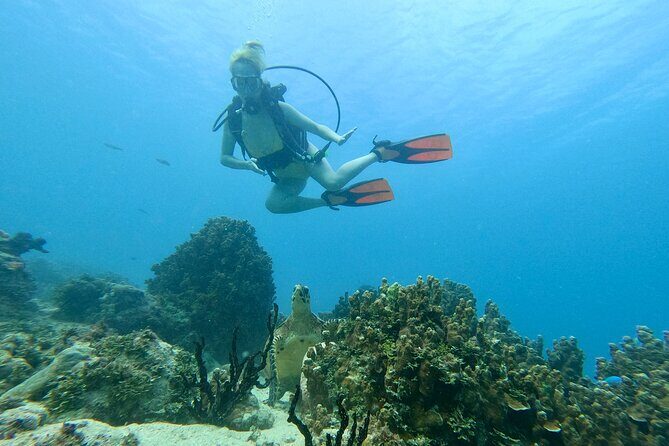 StandUp PaddleBoard Lesson and Experience Scuba Diving Package! - Why Choose This Experience?