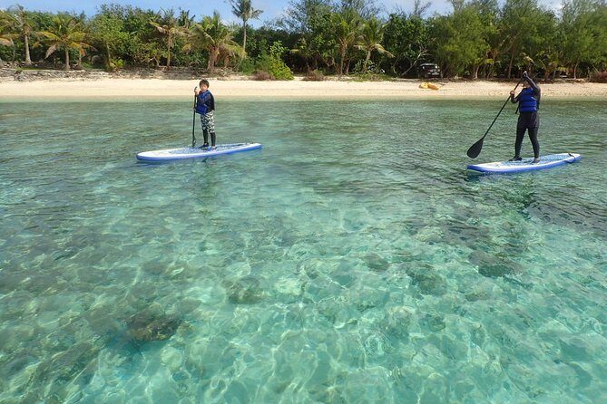 StandUp PaddleBoard Lesson and Experience Scuba Diving Package! - Practical Tips for Participants