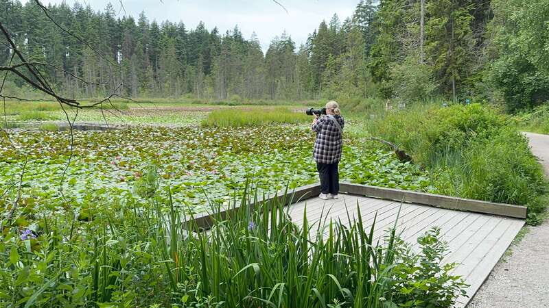 Stanley Park EUC & E-scooters loop tour - The Bottom Line