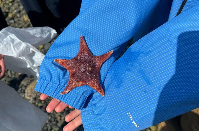 Stanley Park Indigenous Walking Tour Salish Sea and Me - FAQ