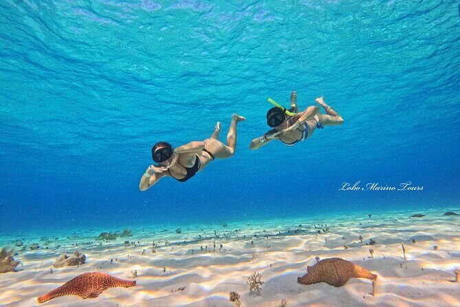 Star and Turtle Sanctuary Snorkeling Tour in Cozumel - Meeting Point and Practical Details