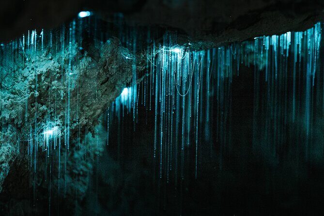 Starburst Cathedral deep inside Milky Way Glowworm Cave - Key Points  