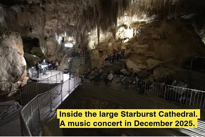 Starburst Cathedral deep inside Milky Way Glowworm Cave - Who Is This Tour Best For?
