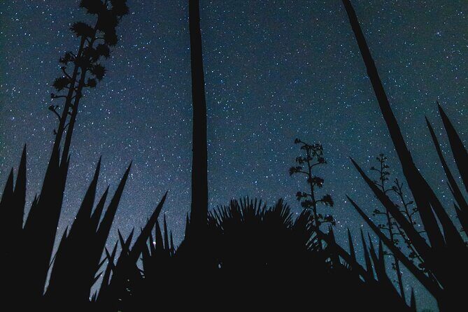 Stargazing Night in the Tabernas Desert - The Experience Through Reviewers’ Eyes