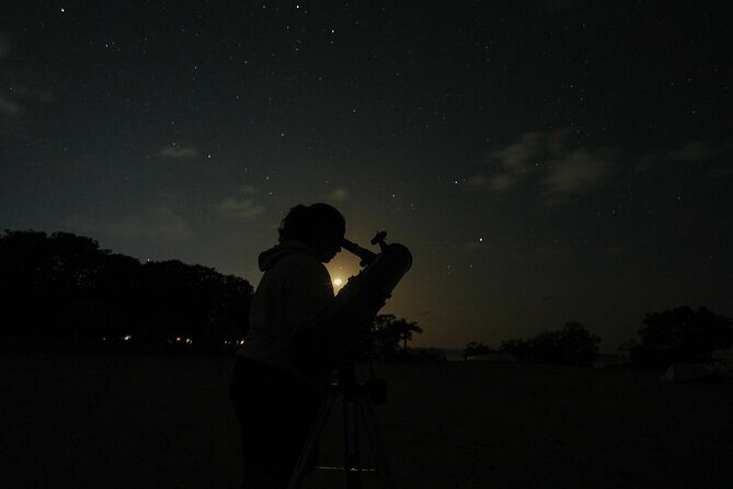 Stargazing, with Dinner Included - A Deep Dive into the Rio Lagartos Stargazing Tour