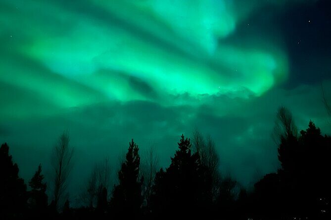 Starlit Adventure Tour in Tromsø  With Professional Photographer - Transportation, Timing, and Group Size